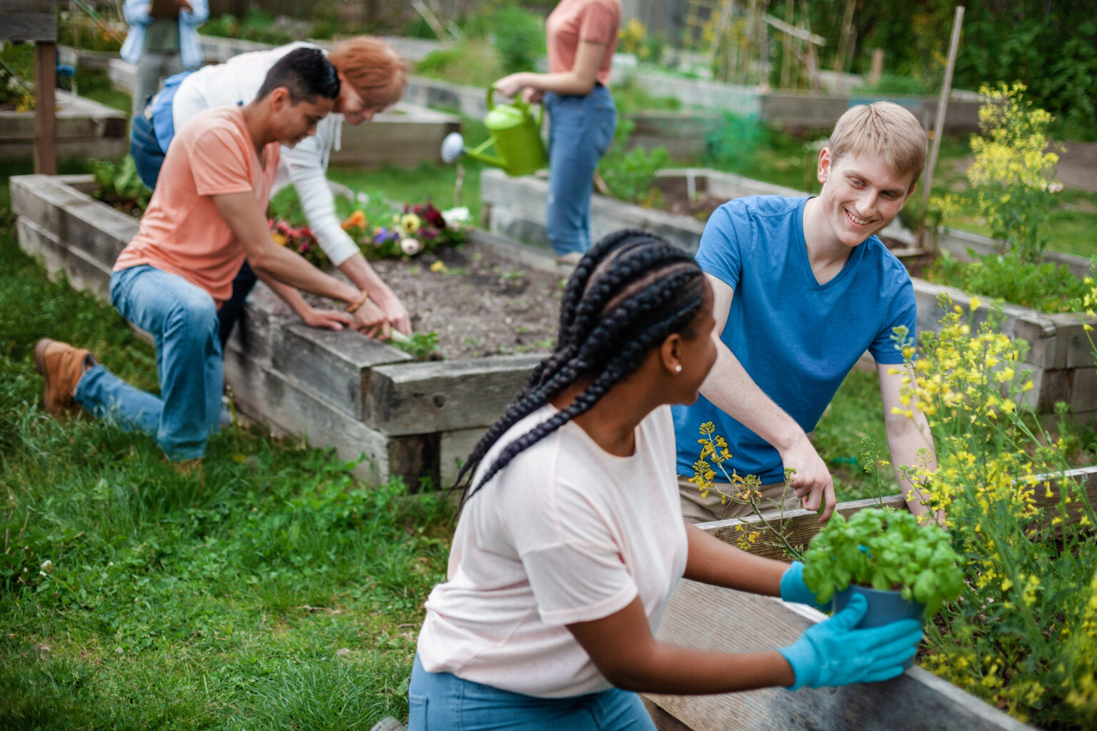 Public Health Benefits of Community Gardens - School of Public Health